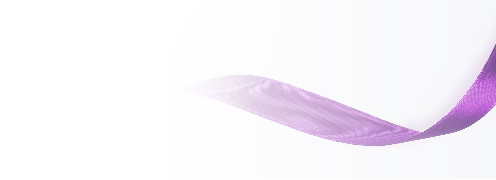 Domestic Violence Survivor Support
